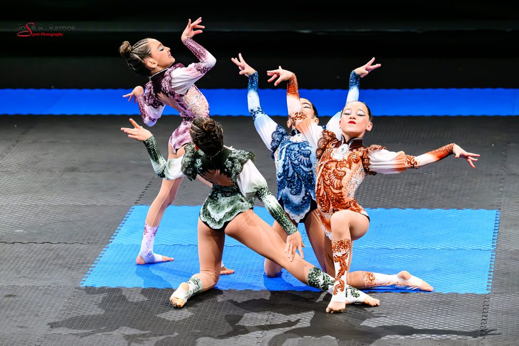 Federación Española de Baile Deportivo